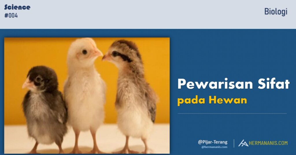 Pewarisan Sifat pada Hewan - Biologi